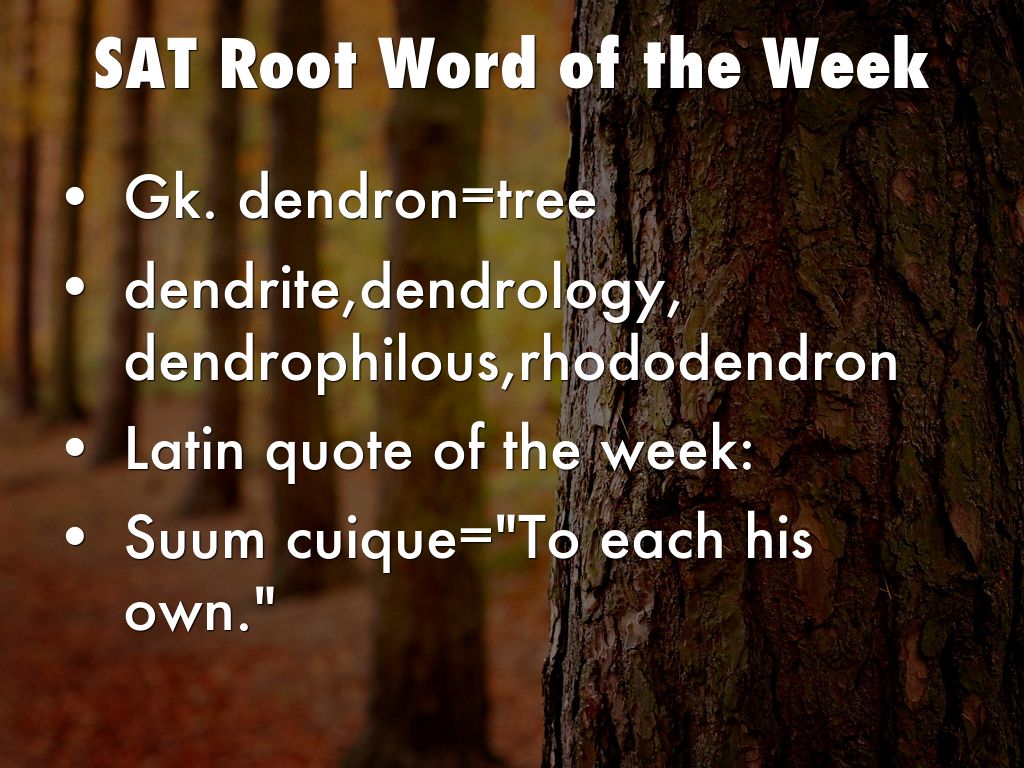 SAT Root Word Of The Week By Rsmeltzer sat-root-word-of-the-week-by-rsmeltzer